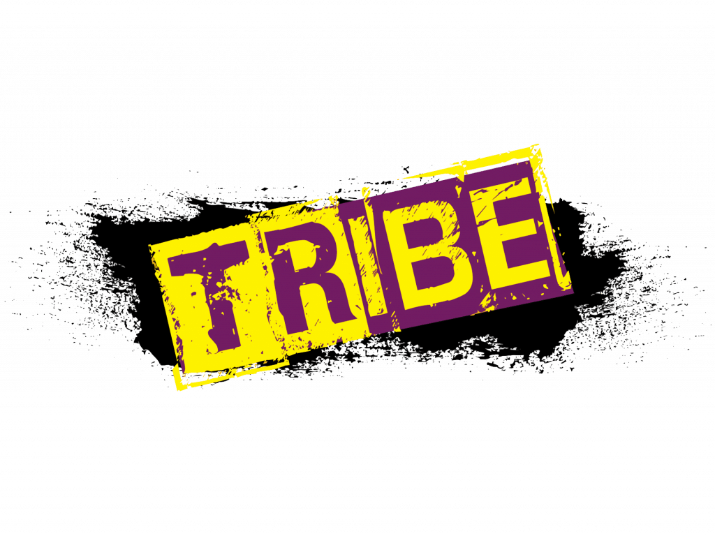 Tribe Personal Trainer | Personal Training | Tribe Games | Trowbridge